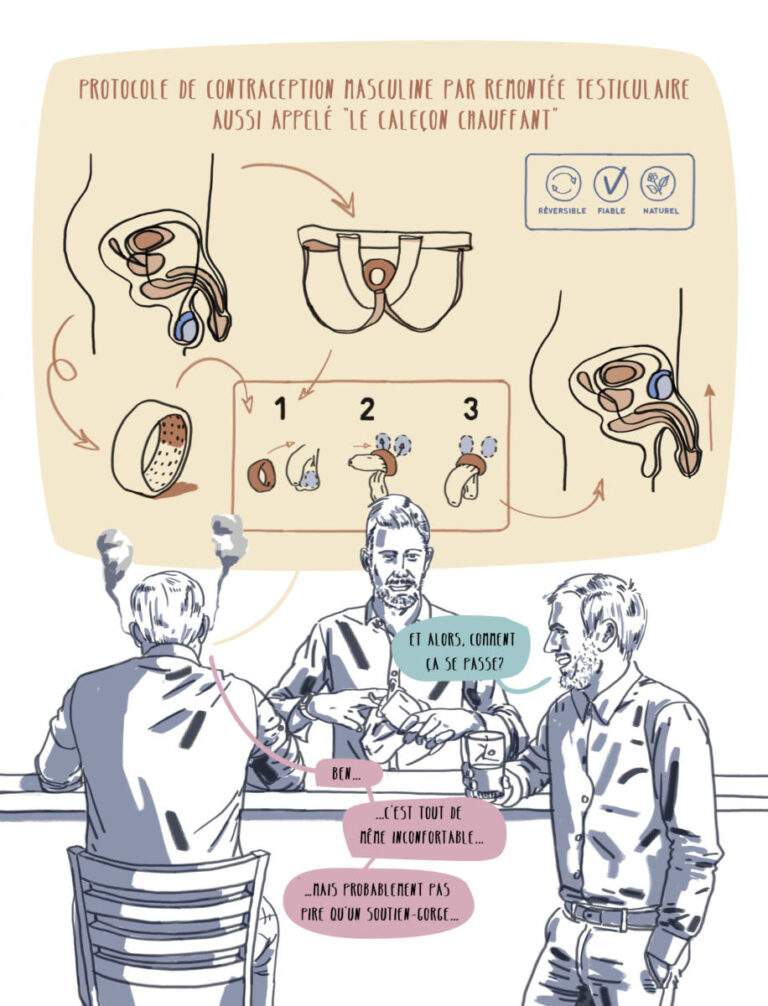 Male thermal contraception - THOREME