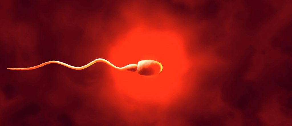 Male thermal contraception - THOREME